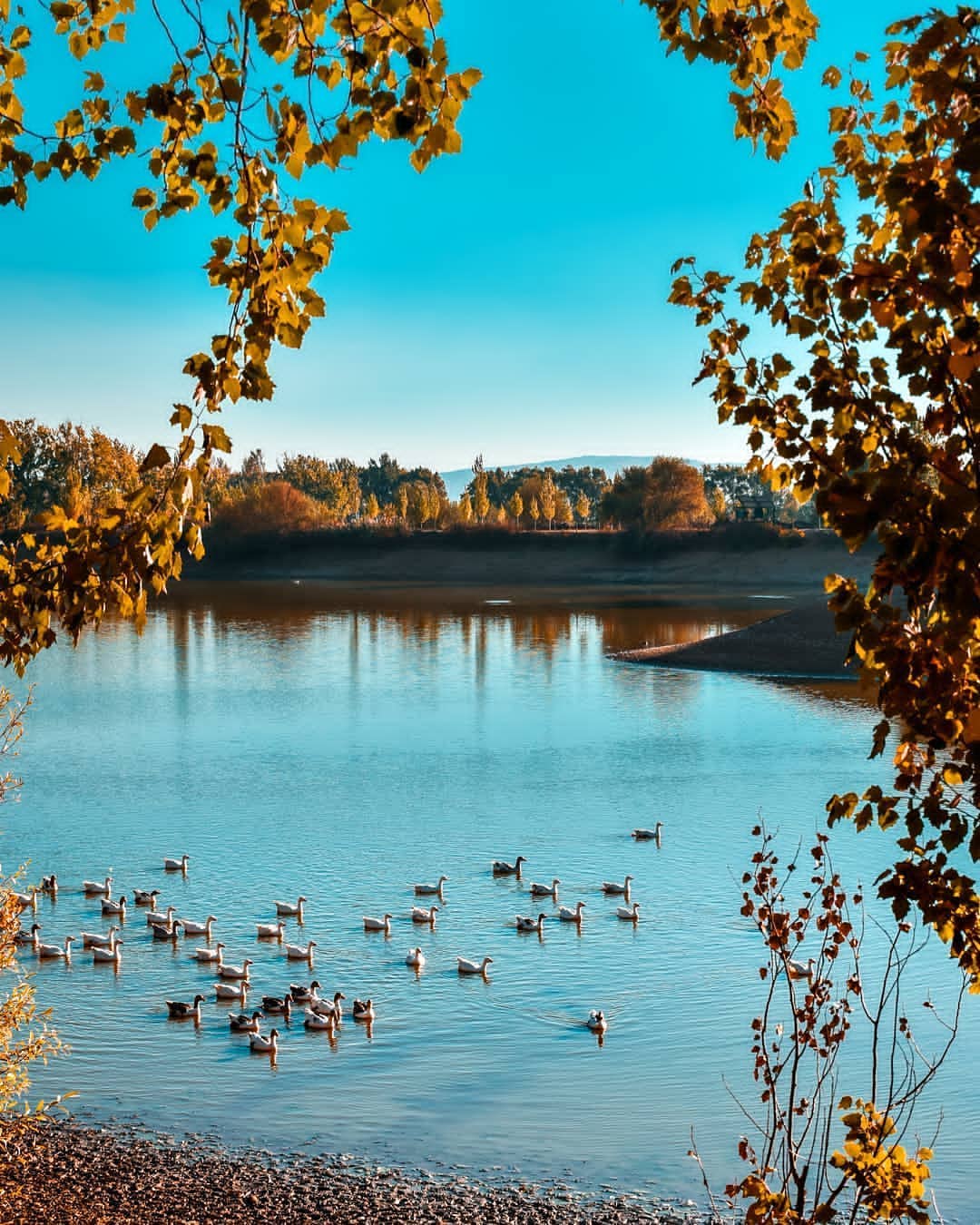 Taanayel Farm | My Lebanon Guide