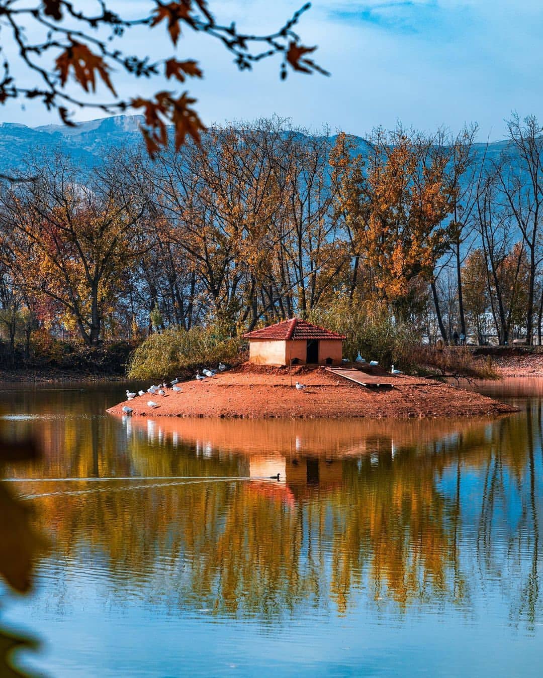 Taanayel Farm | My Lebanon Guide