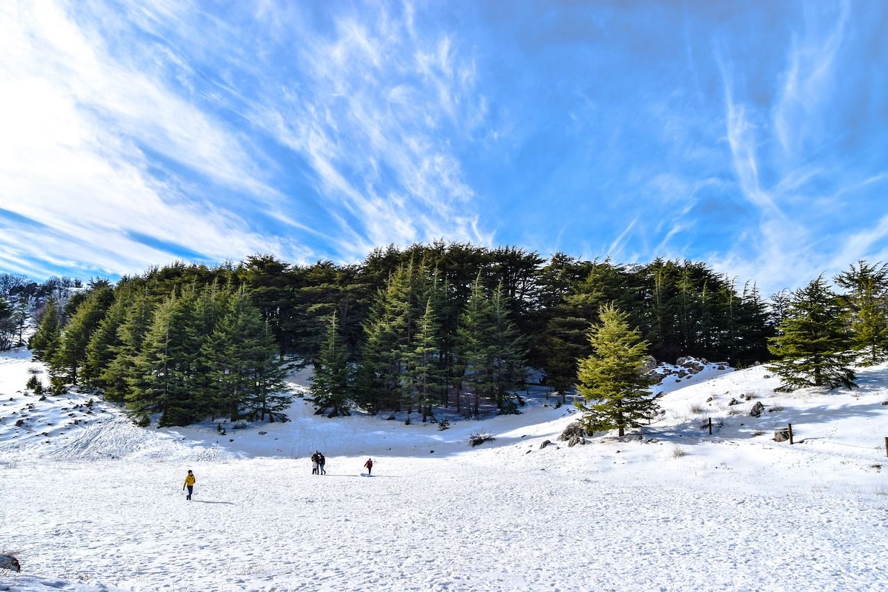Cedars Ski Resort | My Lebanon Guide